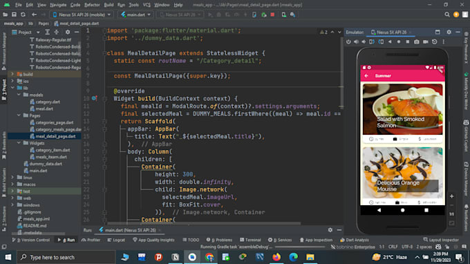Fix Bugs And Errors In Flutter Mobile App Just Inner One Day By