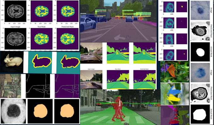 Do Computer Vision Opencv Yolo Tensorflow And Pytorch Projects By Sohailmhmd Fiverr