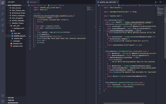 Do C Cpp Dart Java Programming Assignments And Projects By Rizwanali