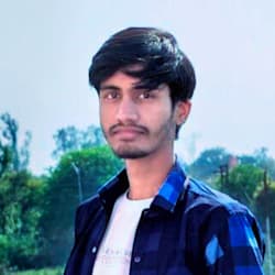 Mridul Singh | Profile | Fiverr