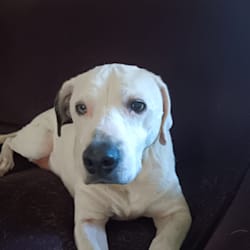 Build your next roblox map by Yngmeastro_gfx | Fiverr