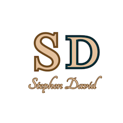 Design or redesign showit website, website logo, seo, showit speed ...