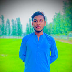 Syed Ali Shan | Profile | Fiverr