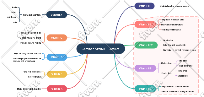 Create whimsical mindmeister xmind venngage mind map infographic diagram