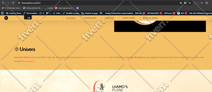 Fix wordpress bug issues, fix wordpress plugin issue by Logixtreepro ...