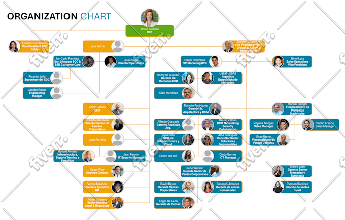 Design professional org charts, flowcharts, and infographics by ...