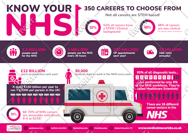 Create the most amazing infographic by Rozerart | Fiverr