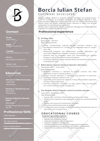 Deliver 12 hours professional resume maker and tech cv writing writing ...