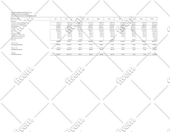 Prepare financial statements, profit and loss, balance sheet by ...