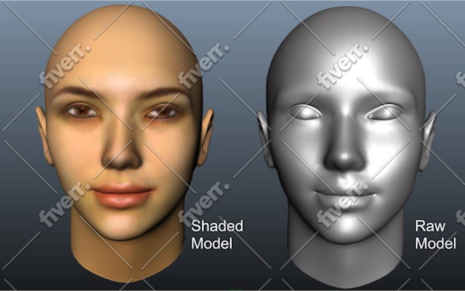 Model any person face into 3d from their front photo by Kumarsingh | Fiverr