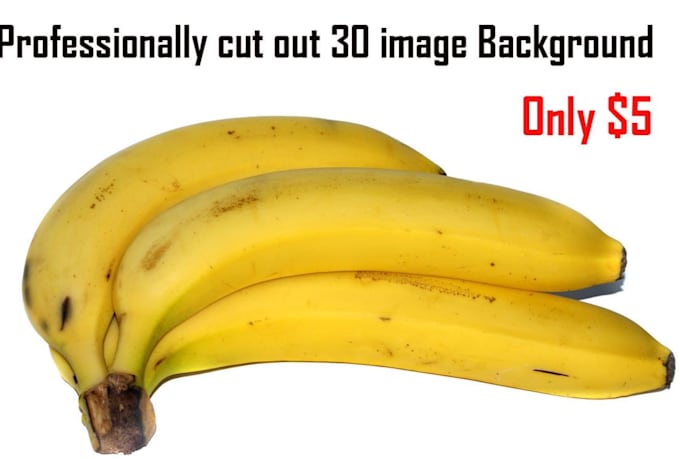 professionally Cut Out 15 Image Remove Background