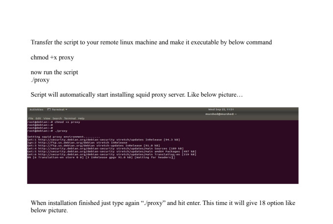 Provide squid ipv4, ipv6 management automated script by Murshedbd20 | Fiverr