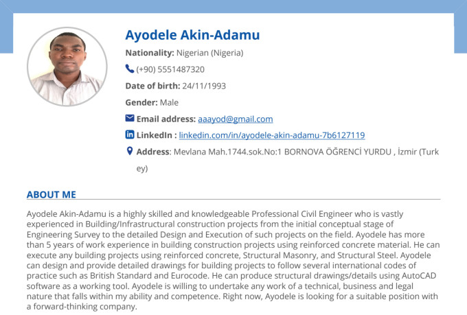 Translate your cv very accurately from turkish to english by ...