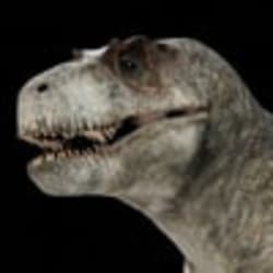 Make bonelab avatars and in game items by Gojirams | Fiverr