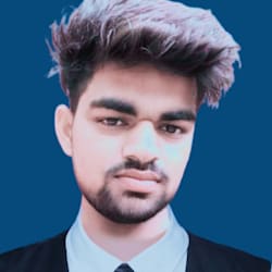 Build portfolio page wordpress website by Paji_i00nfotech | Fiverr