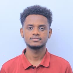 Bulit responsive website using html, css and javascript by Natnael__taye | Fiverr