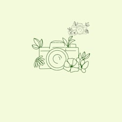 Create landing page layout section using wix redesign wordpress shopify ...