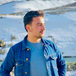 Desenvolver api web em c sharp asp net core, blazor, mvc, webforms, react, angular