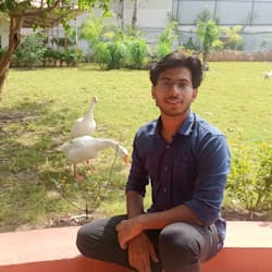 Create high quality revit families for bim projects custom revit family design by Kunal ...