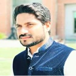 Develop net core, aspnet api, sql server, angular, react web apps by ...