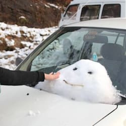 Develop csharp desktop application, winforms, sql database by Saima_noureen | Fiverr