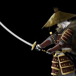 Create professional 2d sakuga animation in anime style by ...