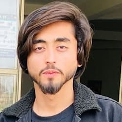 Integrate stripe in flutter by Shaykhay_03 | Fiverr