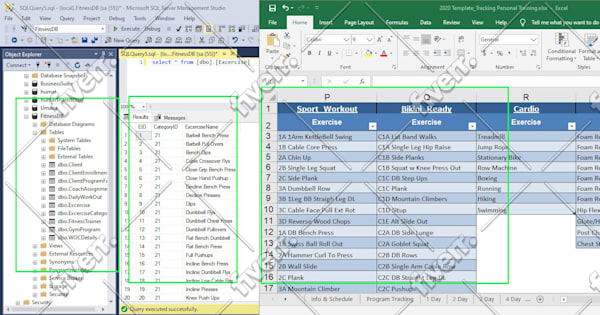 engmonir | Databases, Web Programming, Support & IT | Fiverr