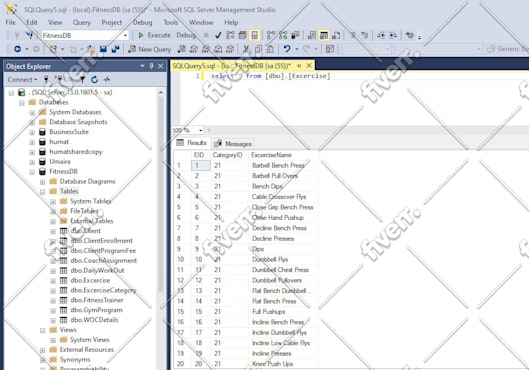 engmonir | Databases, Web Programming, Support & IT | Fiverr