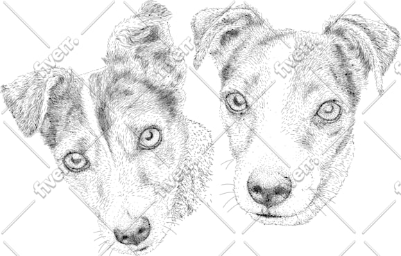 Draw pet illustration in my style by Heartcraft