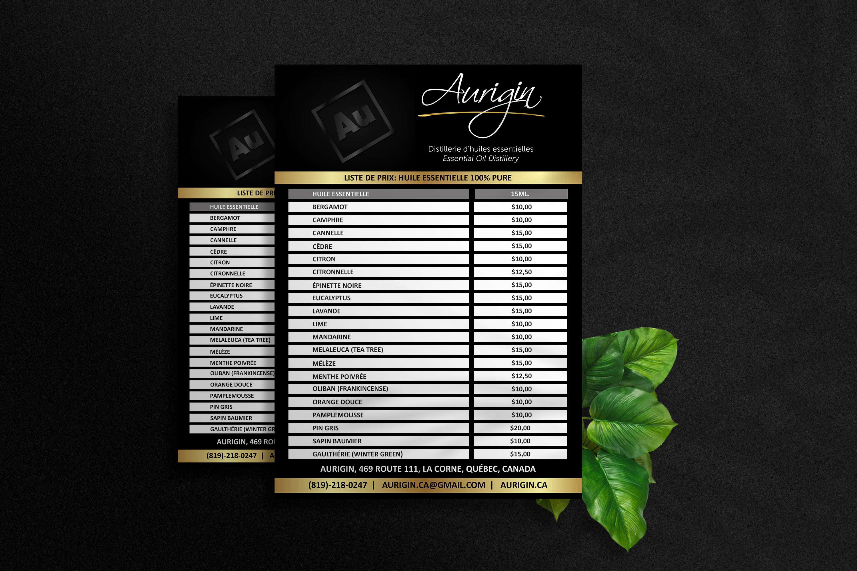 Creative Price List Designs