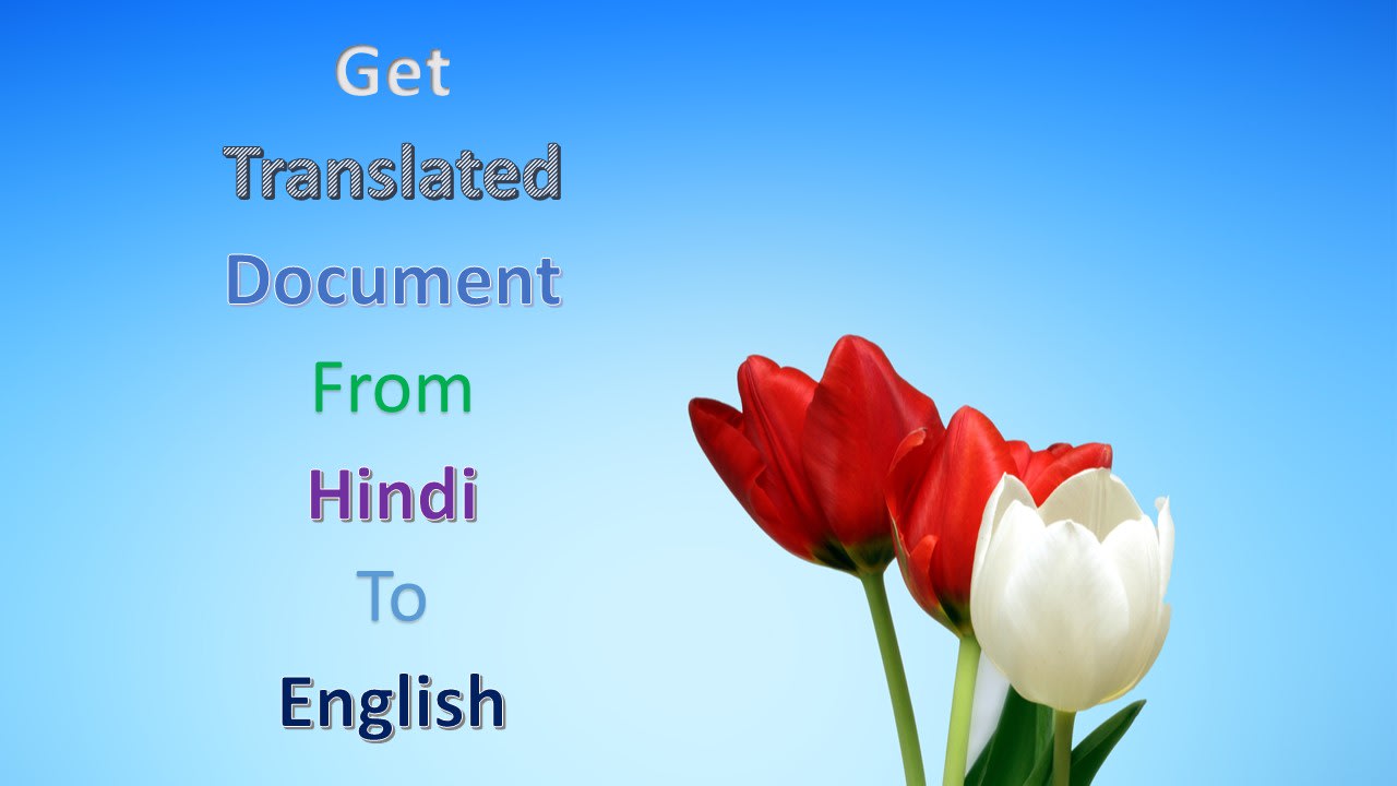 Tulip Flower Translation Hindi | Best Flower Site