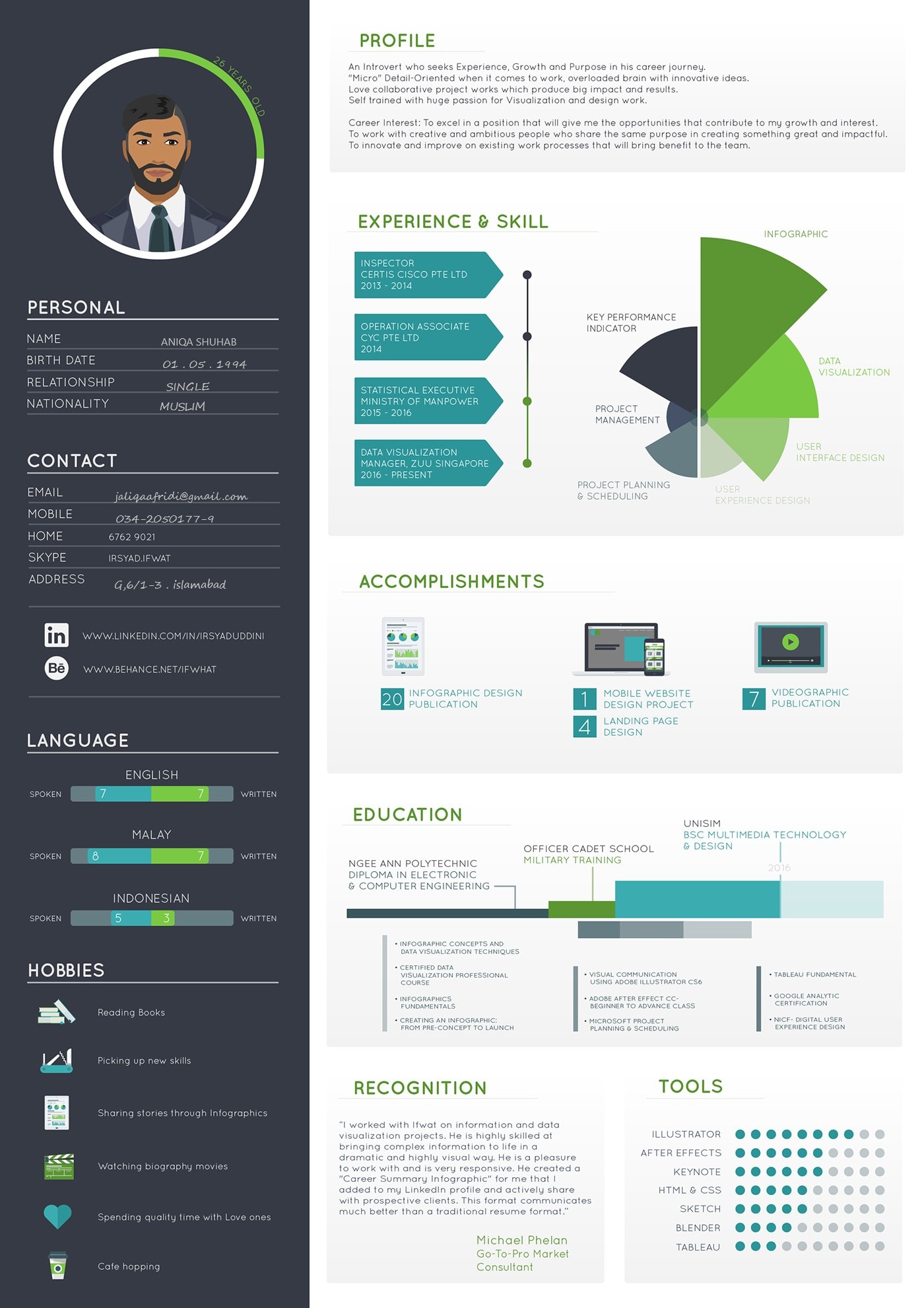 Diy Infographic Resume