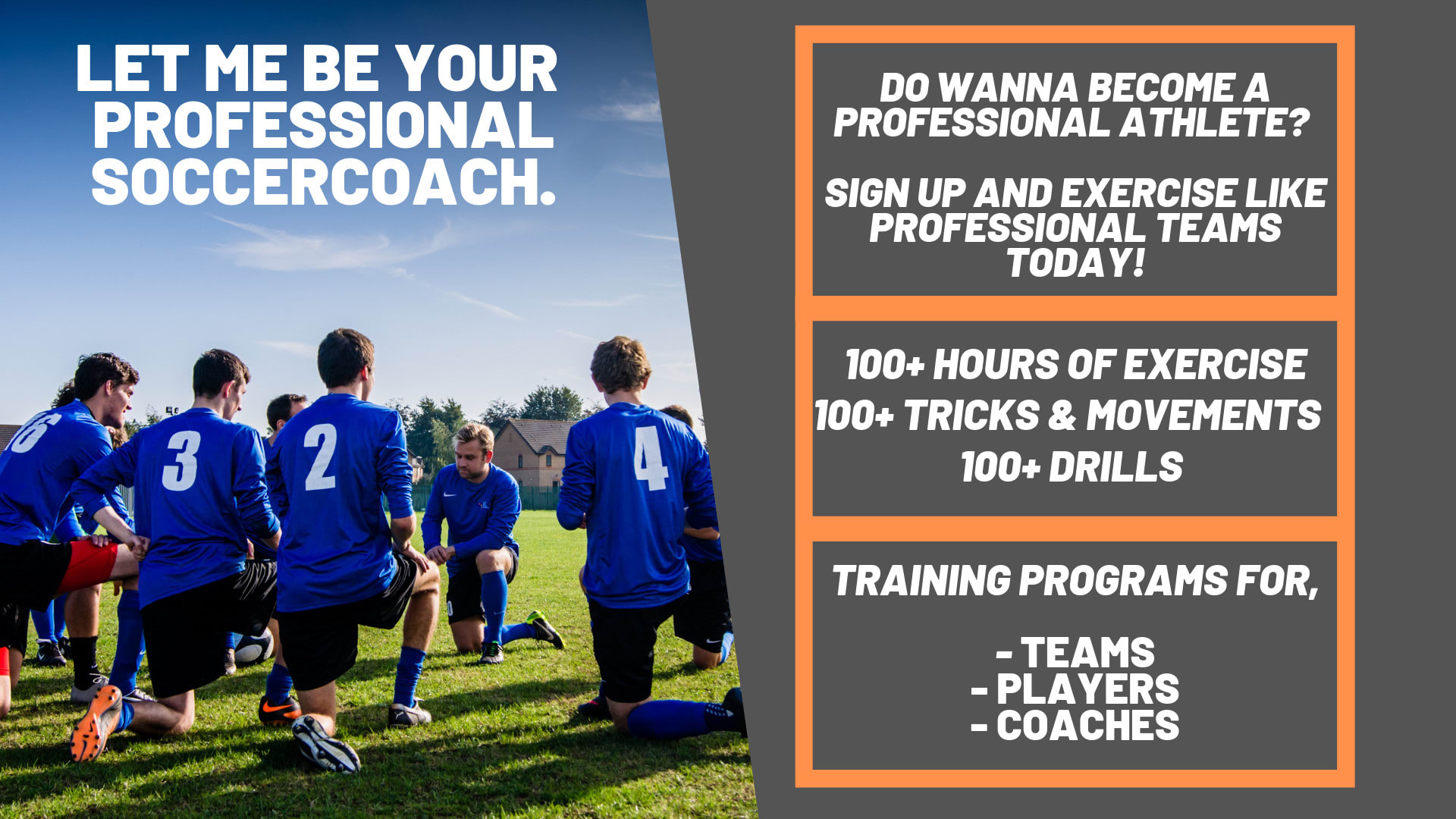 Professional Soccer Coach