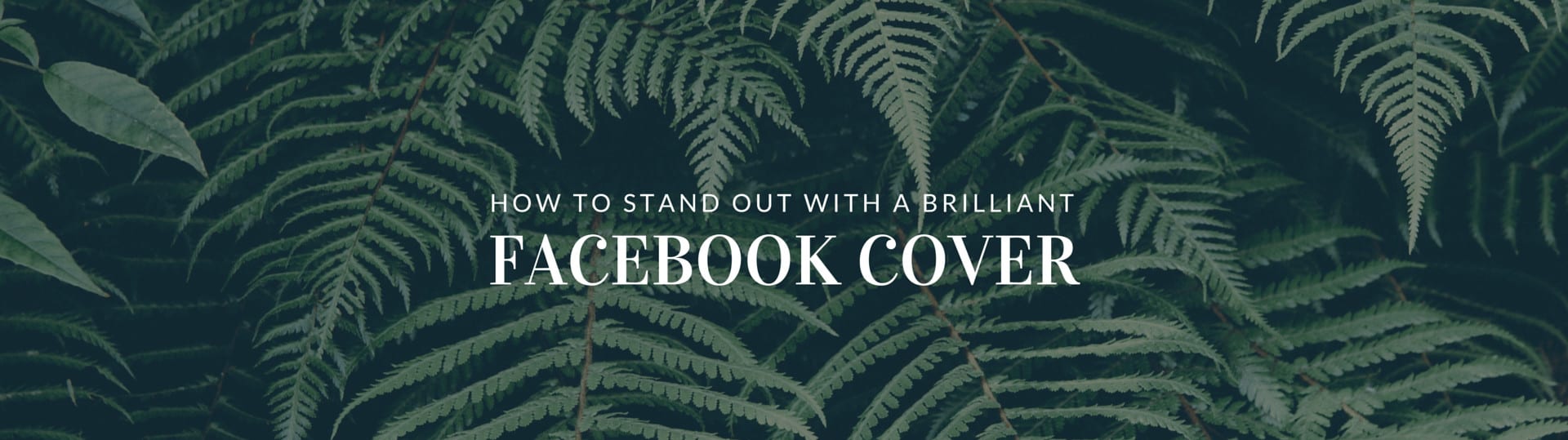 What Makes A Good Facebook Cover Photo - Infoupdate.org
