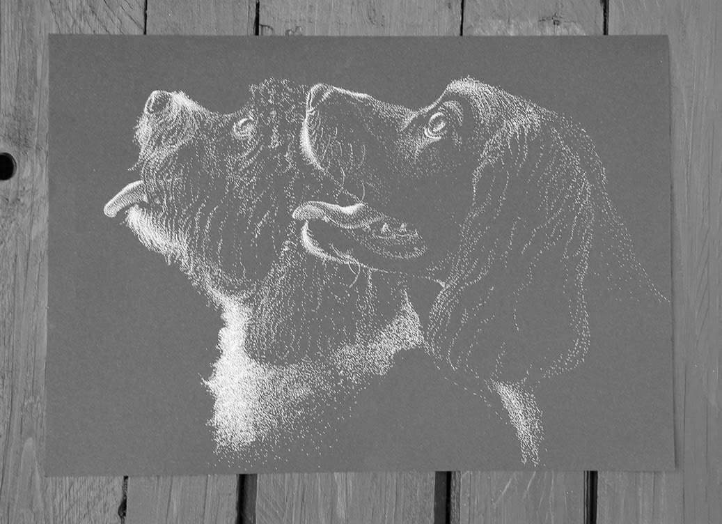Animal Stippling Drawing