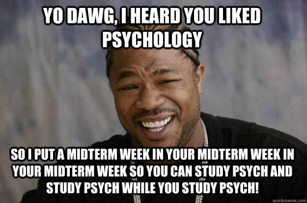 Yo Dawg Meme Original