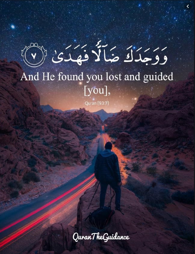 Famous Islamic Quotes About Life The Importance Of Trees In Islam