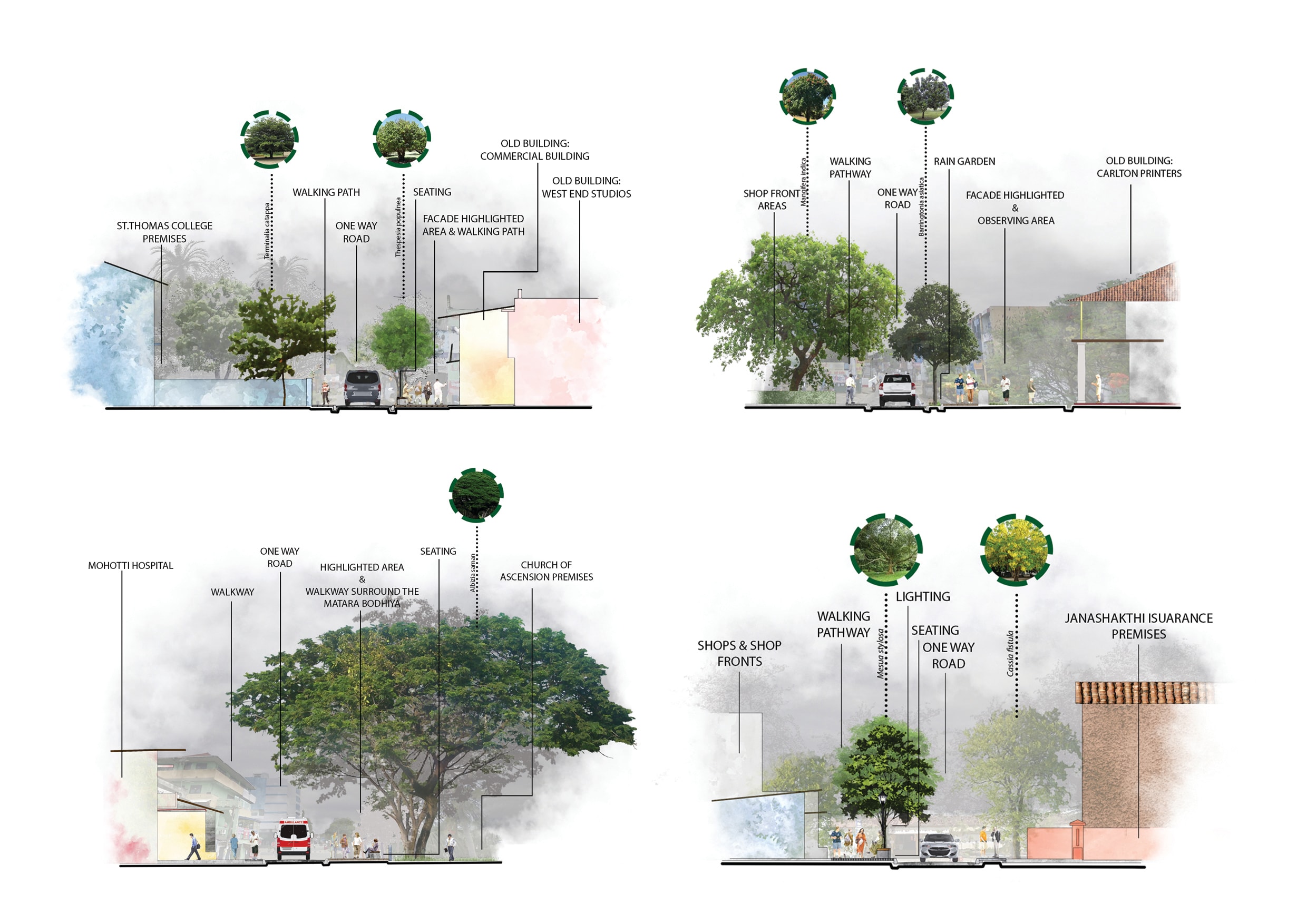 Landscape Section Elevation Landscape Architecture Burlington MA