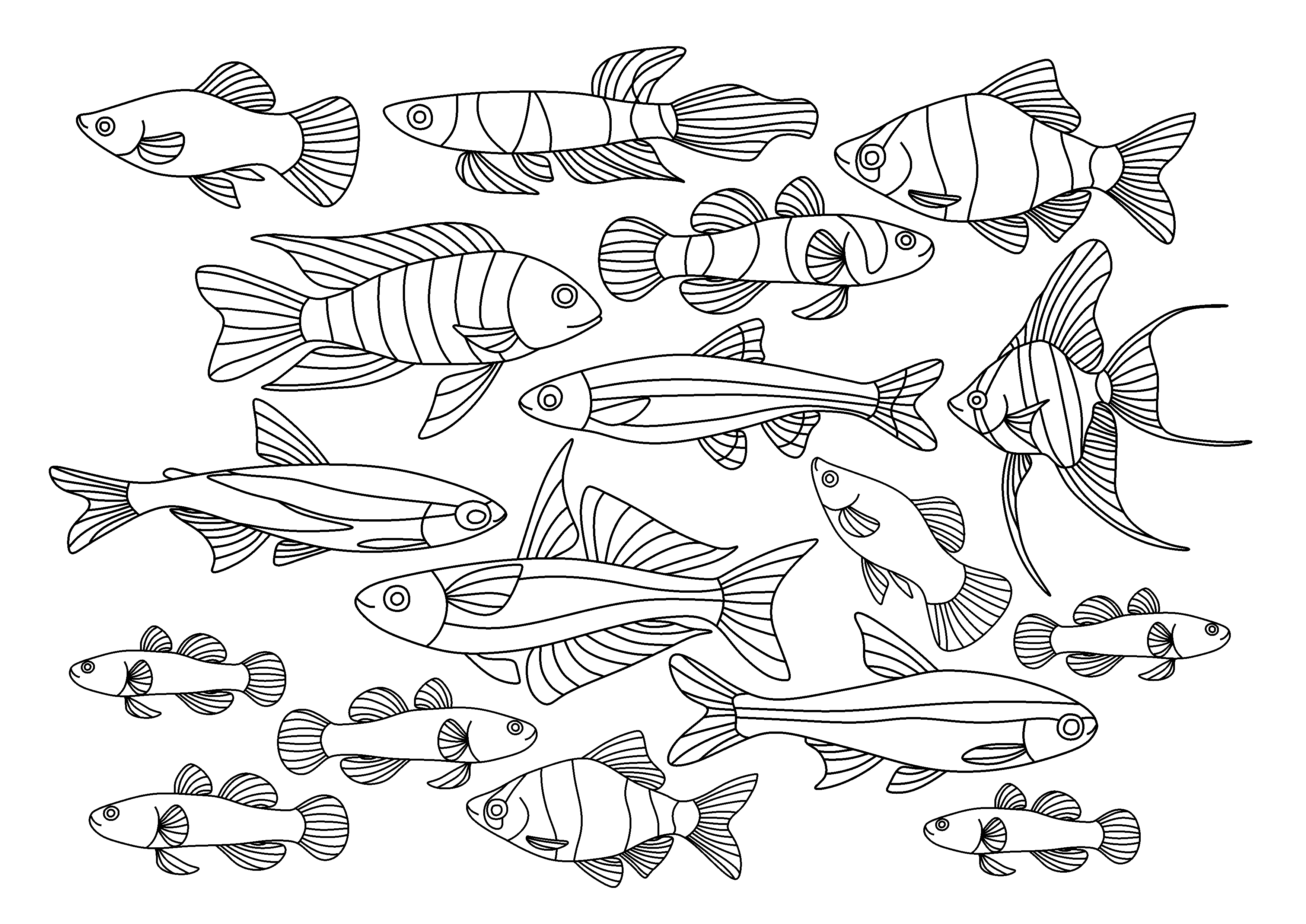 coloring book pages fish