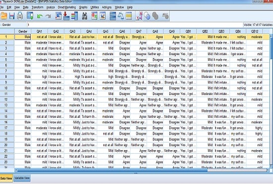 Spss Data Entry