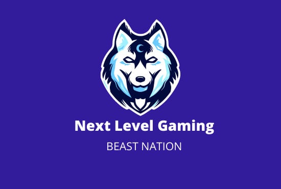 Next Level In Gaming Logo