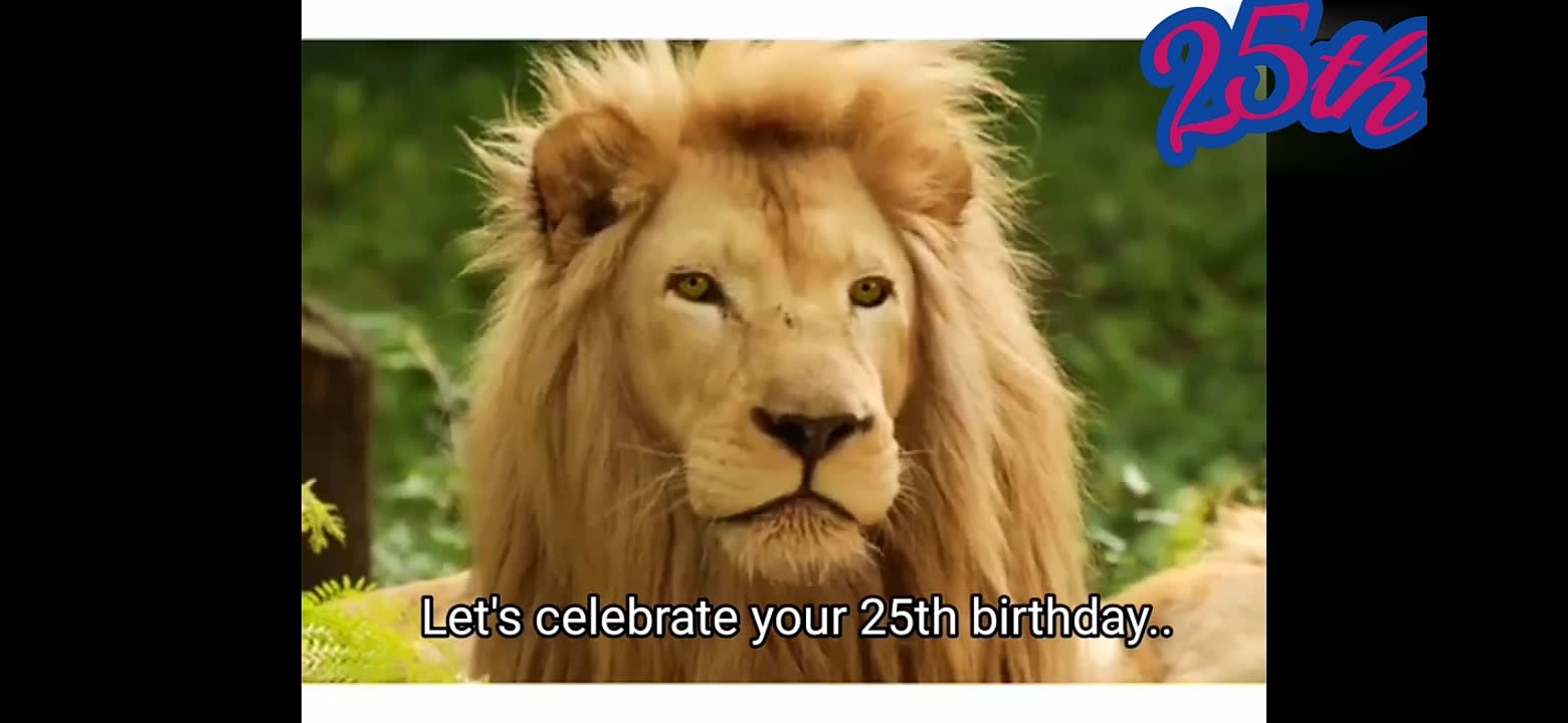 Lion Birthday Memes