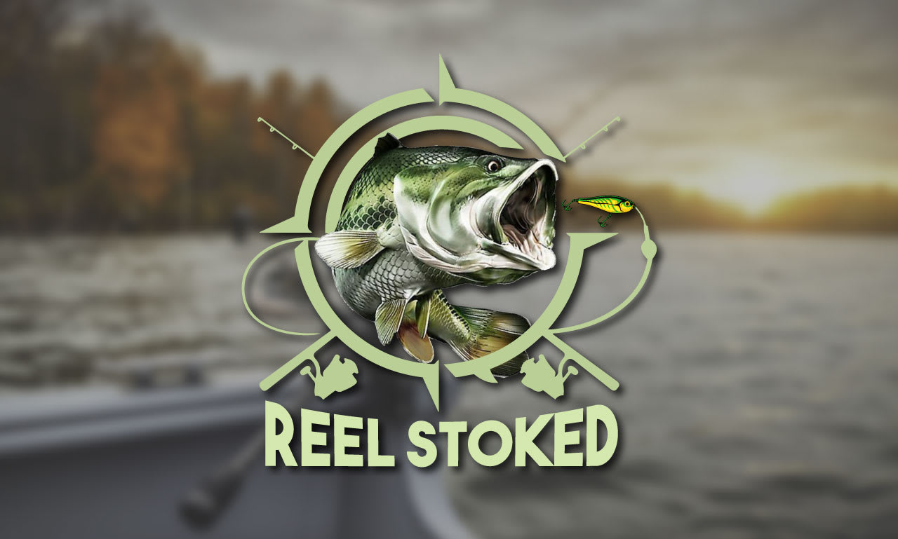 Conception De Logo De Poisson Modèles De Poisson Frit Logo | Affiche