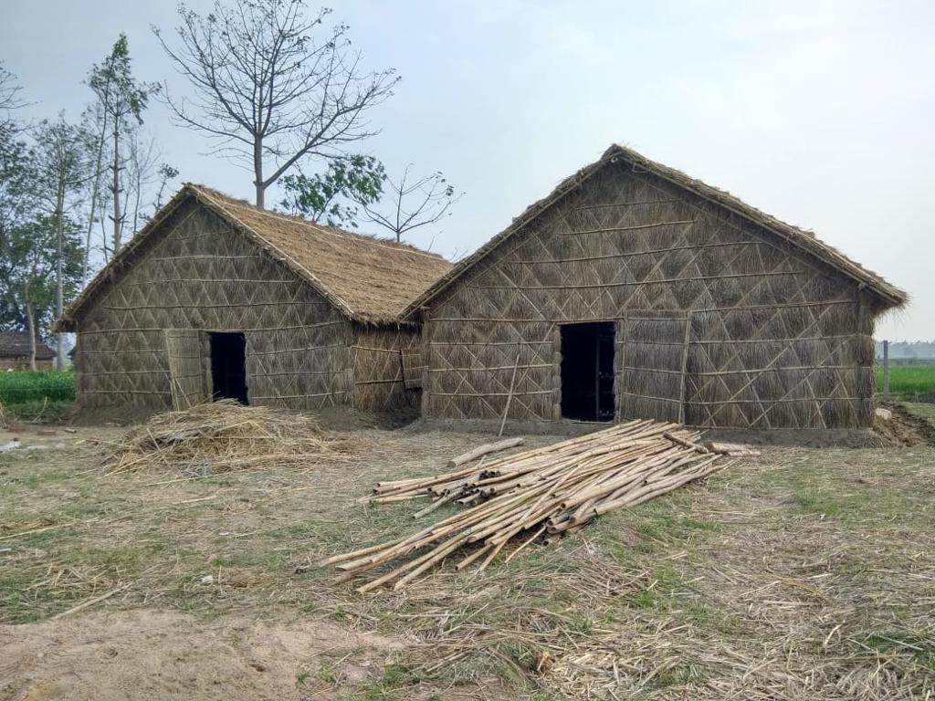 Mushroom Growing House Design