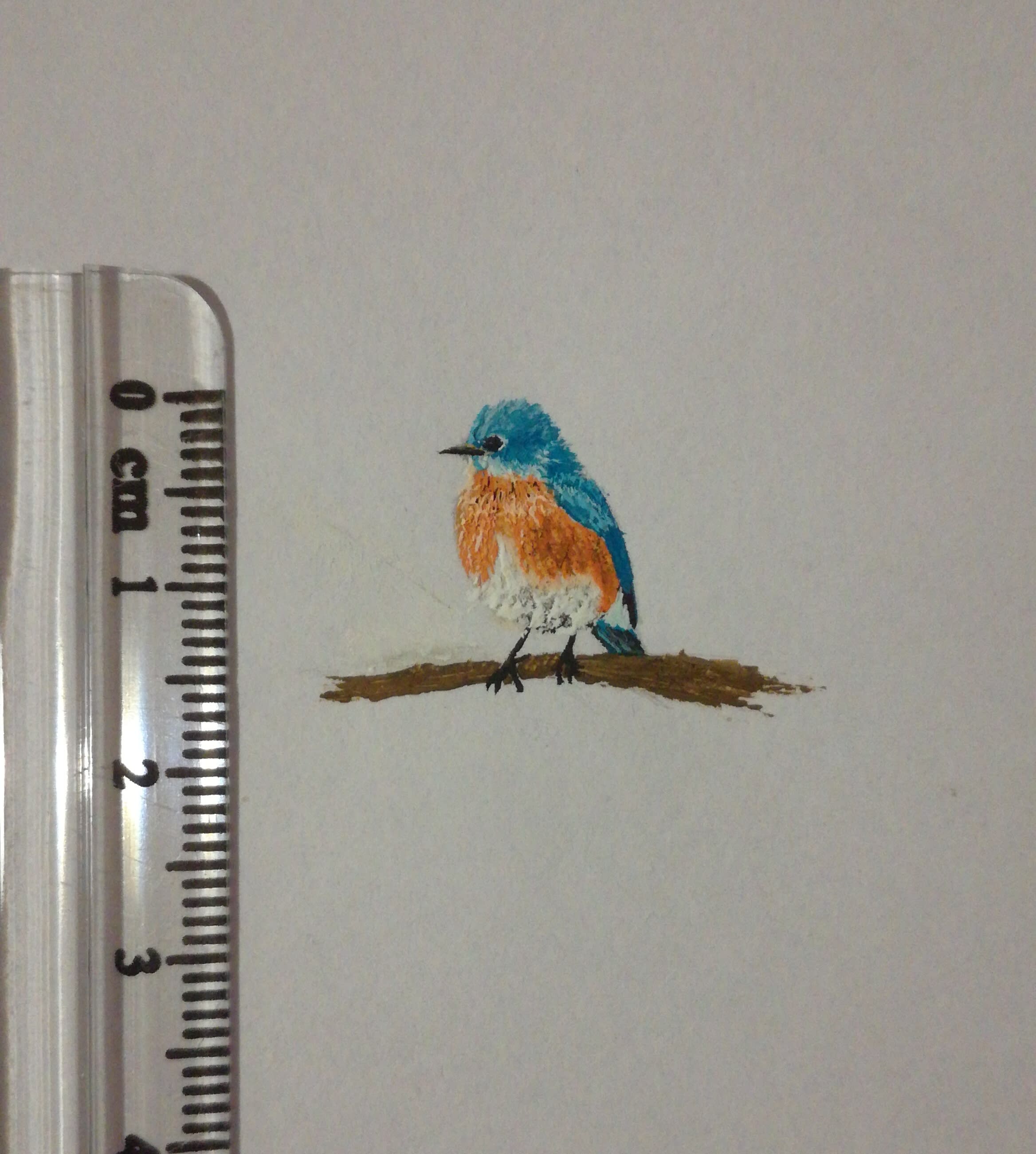 Miniature Art Drawings Marija Tiurina Small Drawings And Paintings