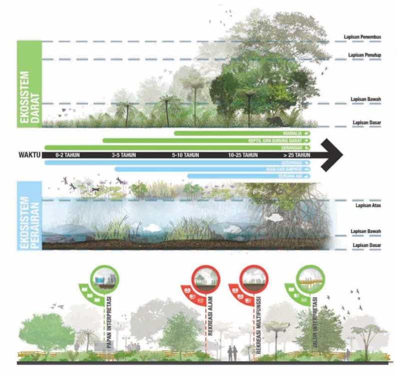 Landscape Architecture Section Elevation Drawings