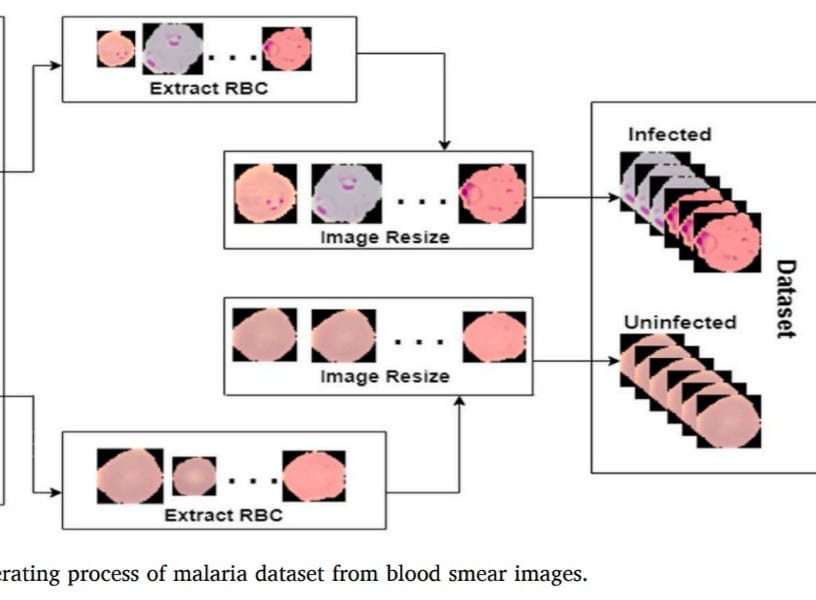 Image Processing Classification Cnn Semantic Segmentation And Computer Vision Cv Ph