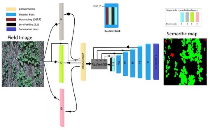Upsampling Cnn | ppgbbe.intranet.biologia.ufrj.br