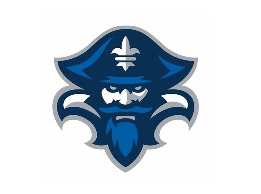 Pirate Icon